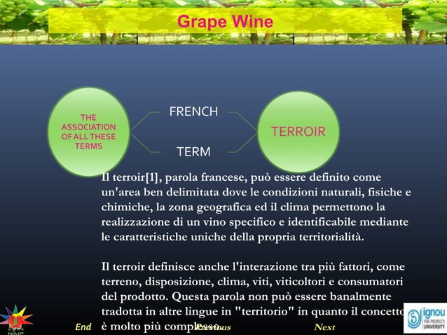Grape wine introduction for the class-ok | PPT | Chemistry | Science