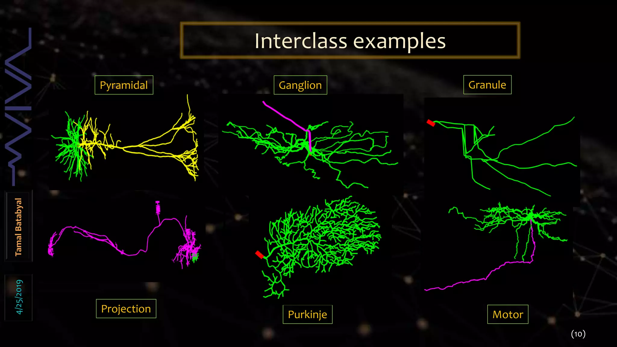 Graph theoretic neuromorphology | PPT