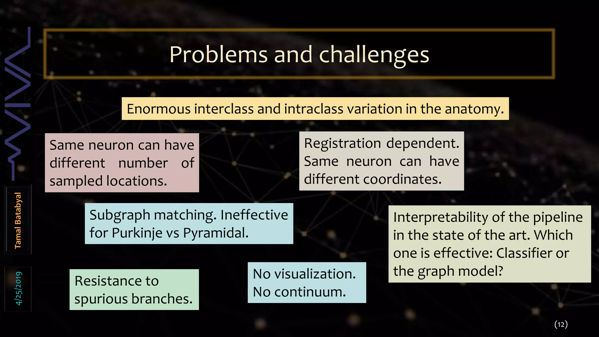 Graph theoretic neuromorphology | PPT