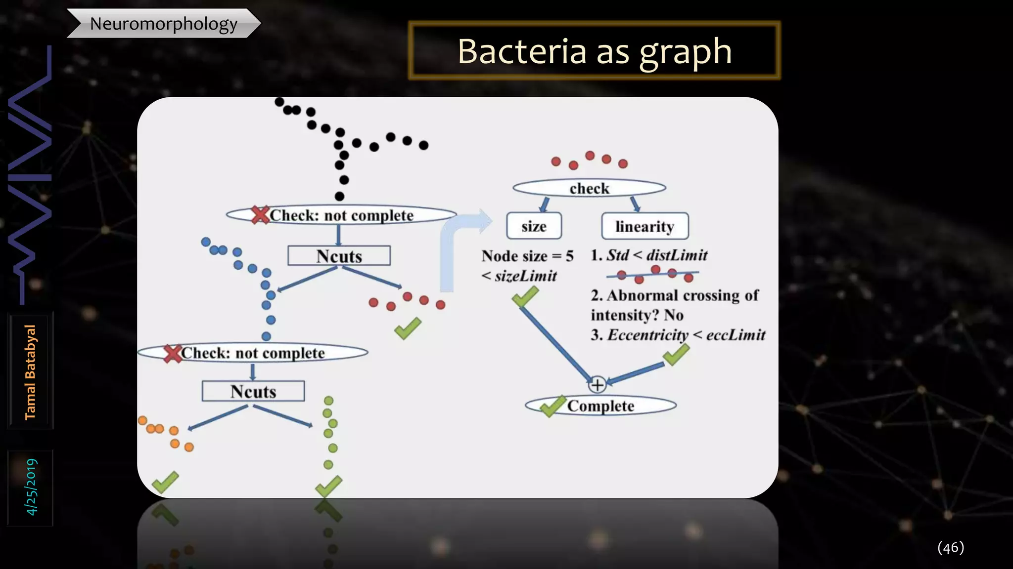 Graph theoretic neuromorphology | PPT