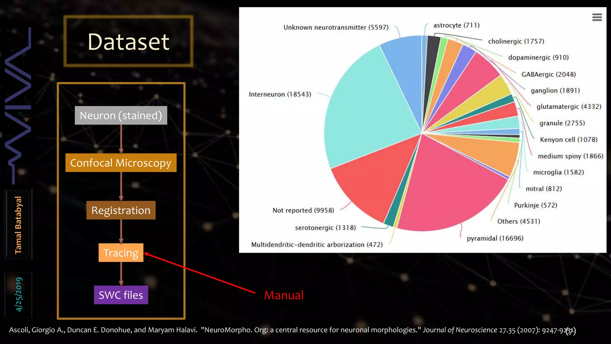 Graph theoretic neuromorphology | PPT