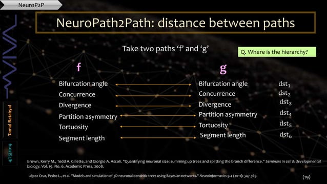 Graph theoretic neuromorphology | PPT