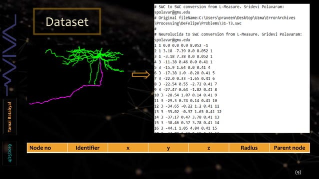 Graph theoretic neuromorphology | PPT