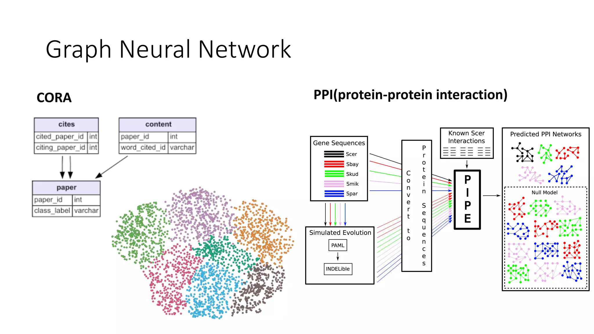 Graph attention network - deep learning paper review | PPT
