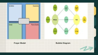 different Graphic-Organizer-Report.pptx