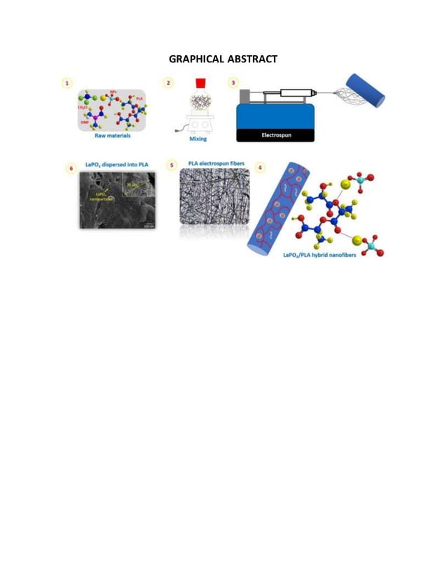 Graphical abstract | PDF