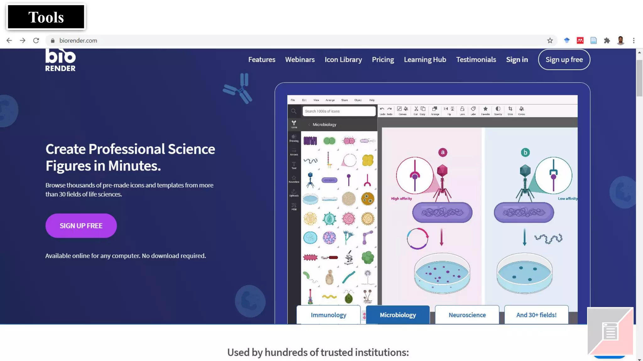 Graphical Abstract | PDF
