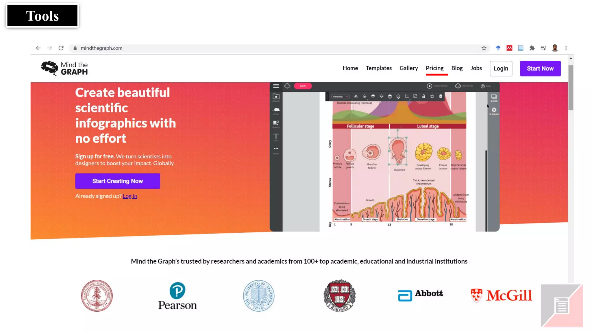 Graphical Abstract | PDF