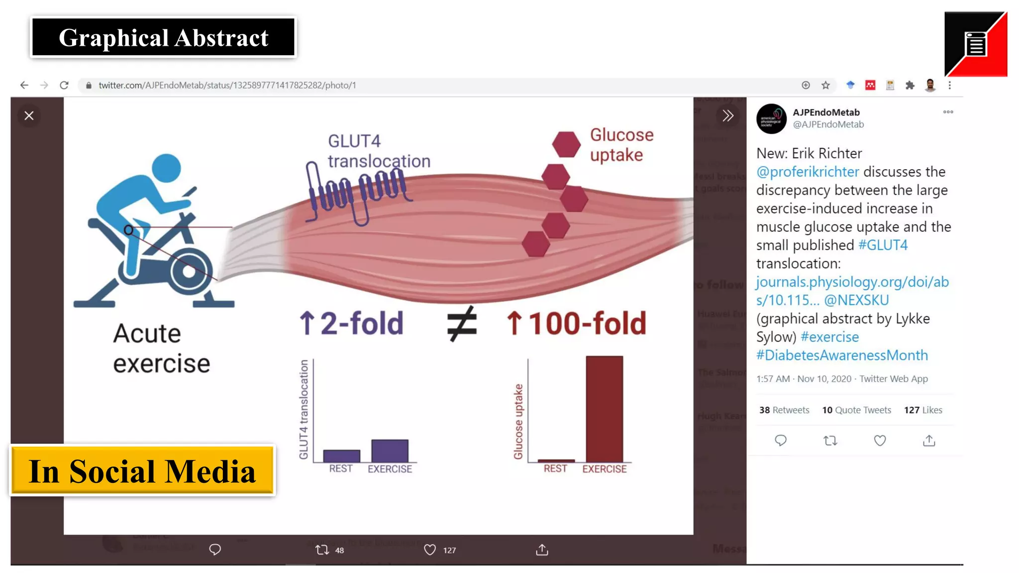 Graphical Abstract | PDF