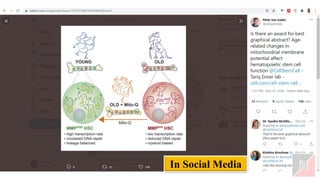 Graphical Abstract | PDF