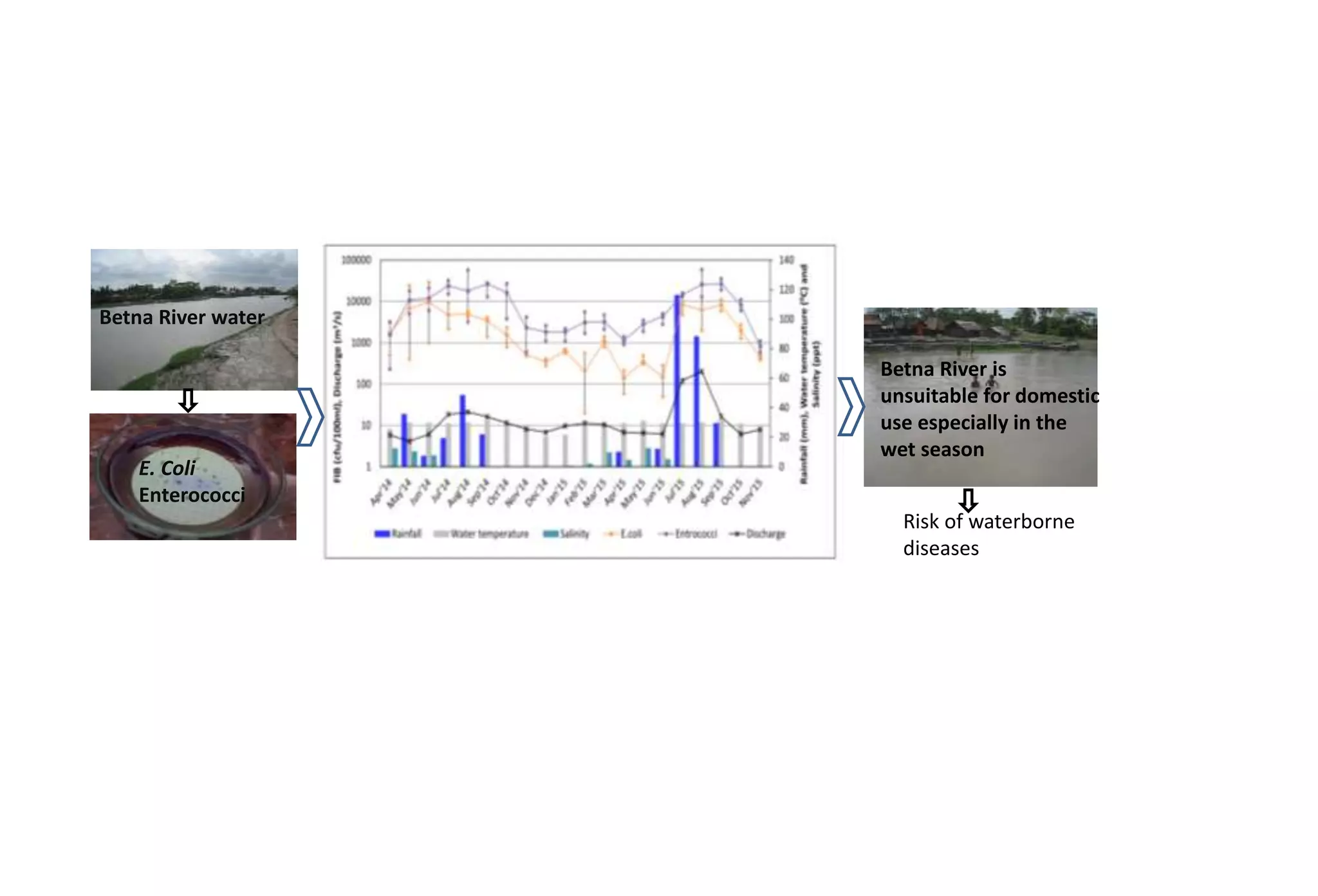 Graphical_abstract.pptx