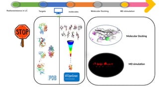 GRAPHICAL ABSTRACT of our in-silico work | PPTX