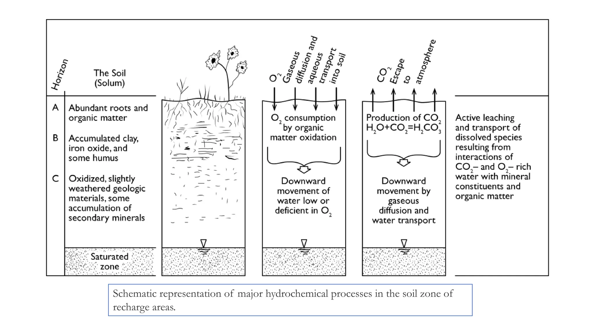 Graphical representation of water quality data.pptx