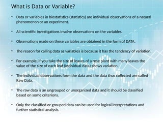 Mastering Graphical Representations in Data Analysis | PPT