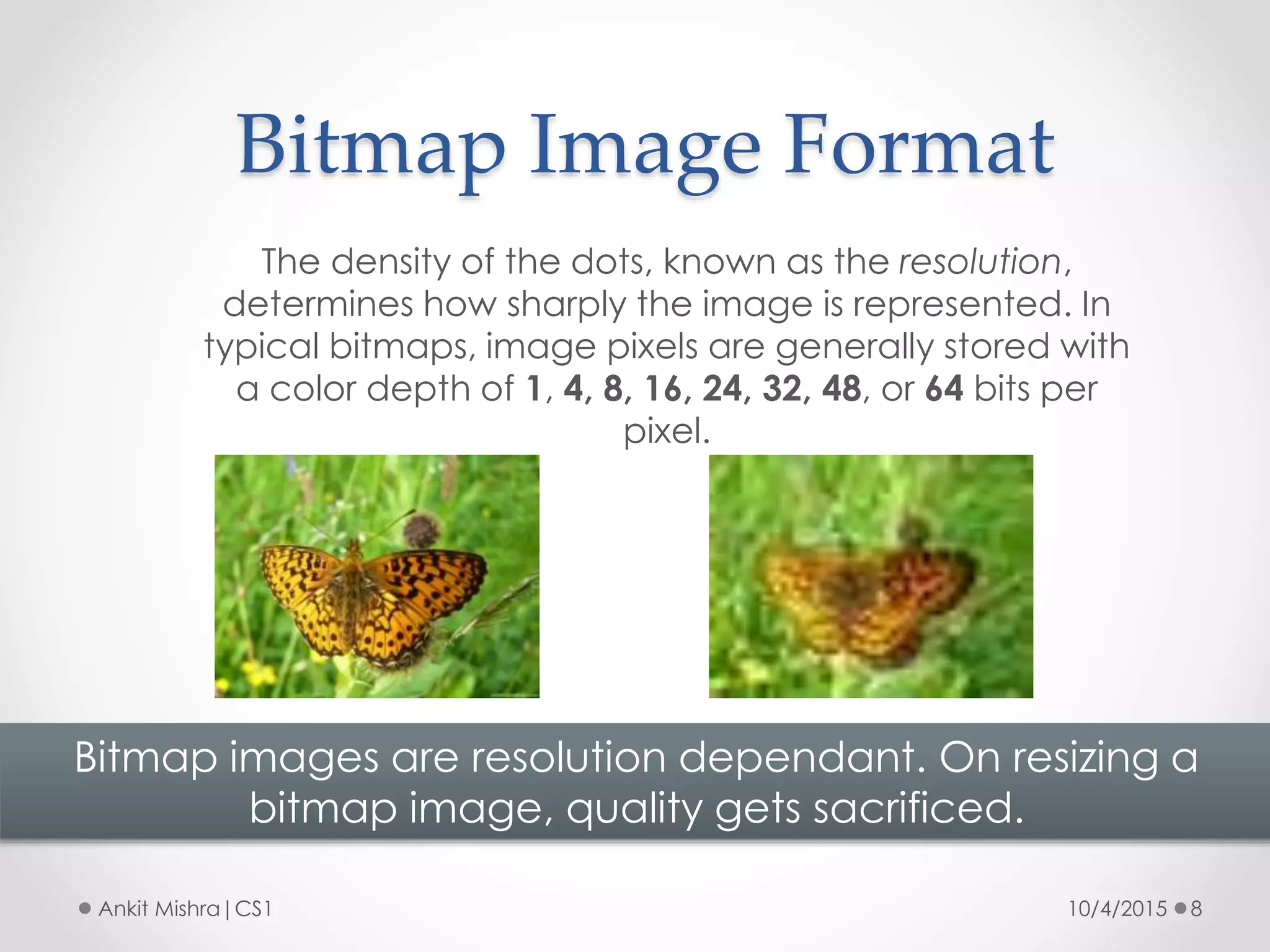 Basic Introduction To Graphic File Formats | PPTX