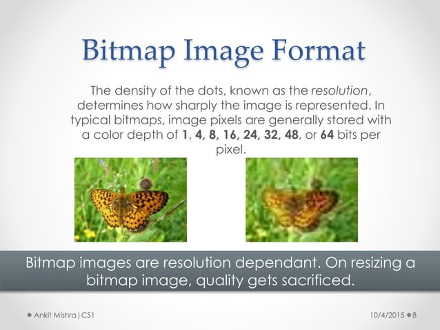 Basic Introduction To Graphic File Formats | PPTX