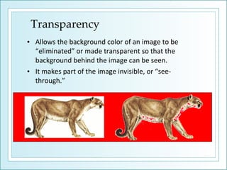 Graphic formats | PPT