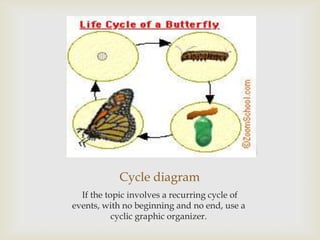 Graphic Organizer | PPTX