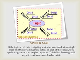 Graphic Organizer | PPTX