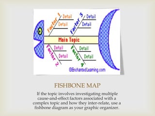 Graphic Organizer | PPTX