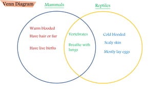 Graphic organizers that work | PPTX