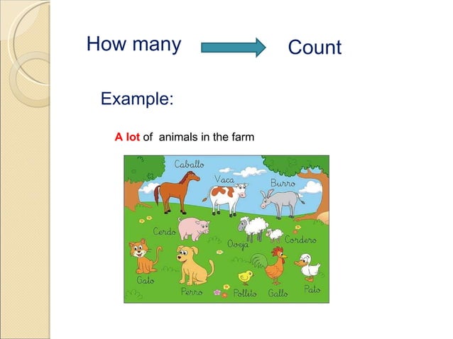 Graphic organizer quantifiers a | PPT