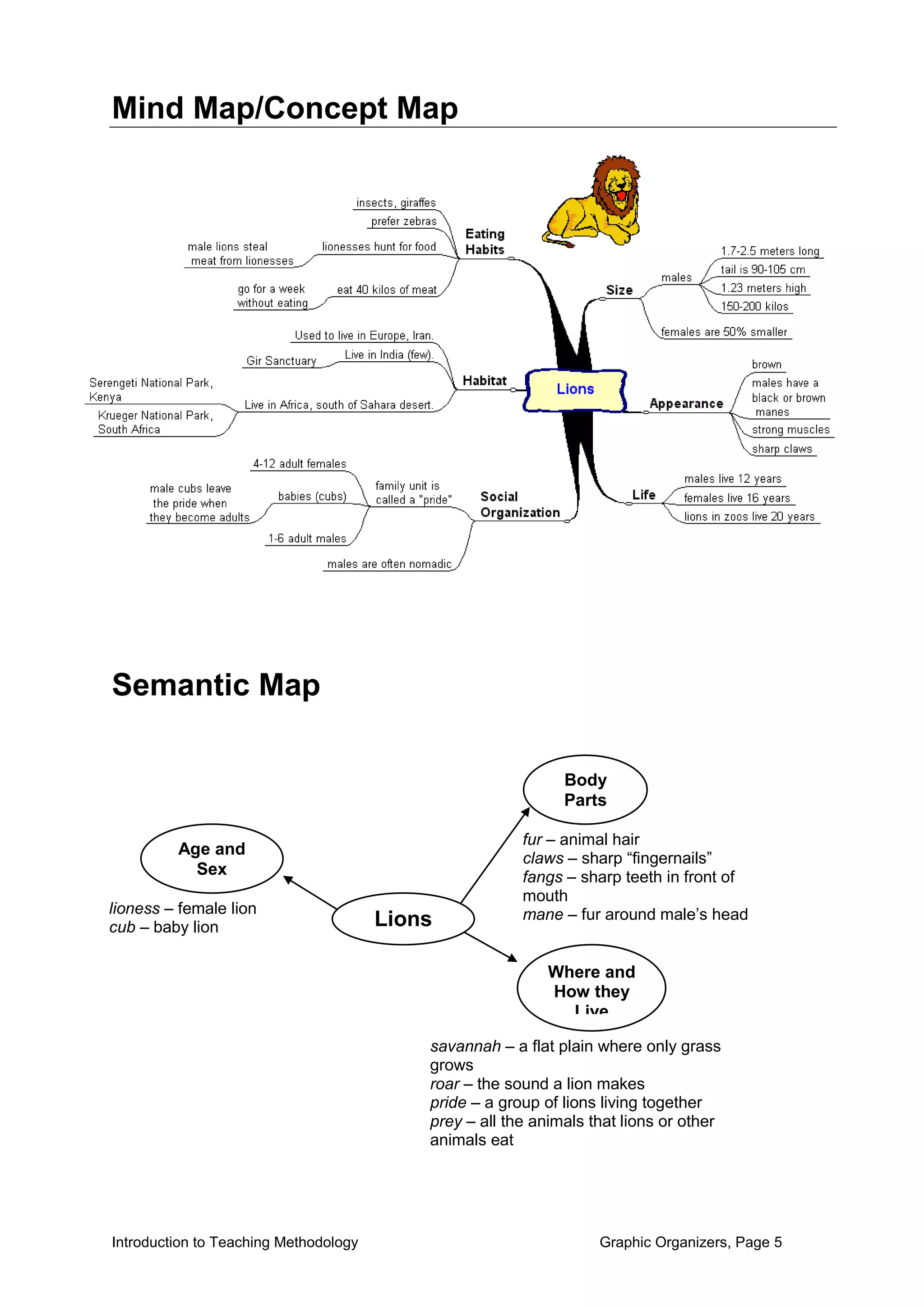 Graphic Organizers.pdf