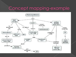 Photosynthesis Graphic Organizer