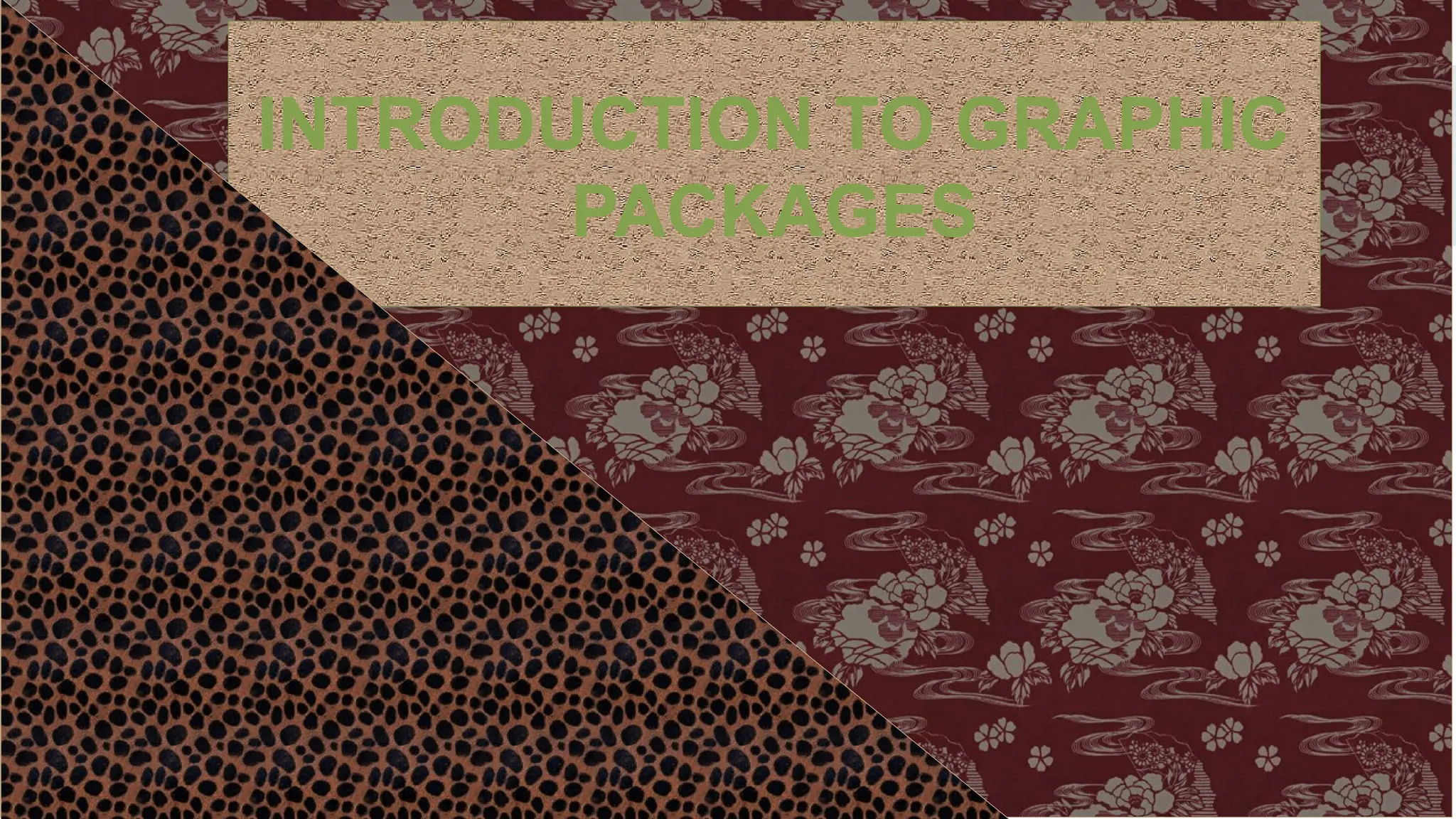 AN INTRODUCTION TO GRAPHIC PACKAGES.pptx