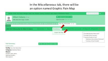 Graphic Pain Map.pptx