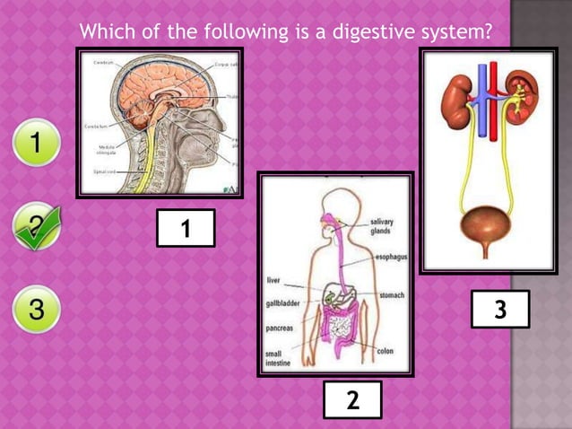 Graphic presentation mary jane f. alarcio | PPTX