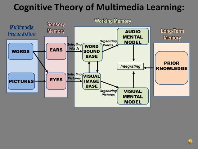Cognitive Theory of Multimedia Learning | PPT