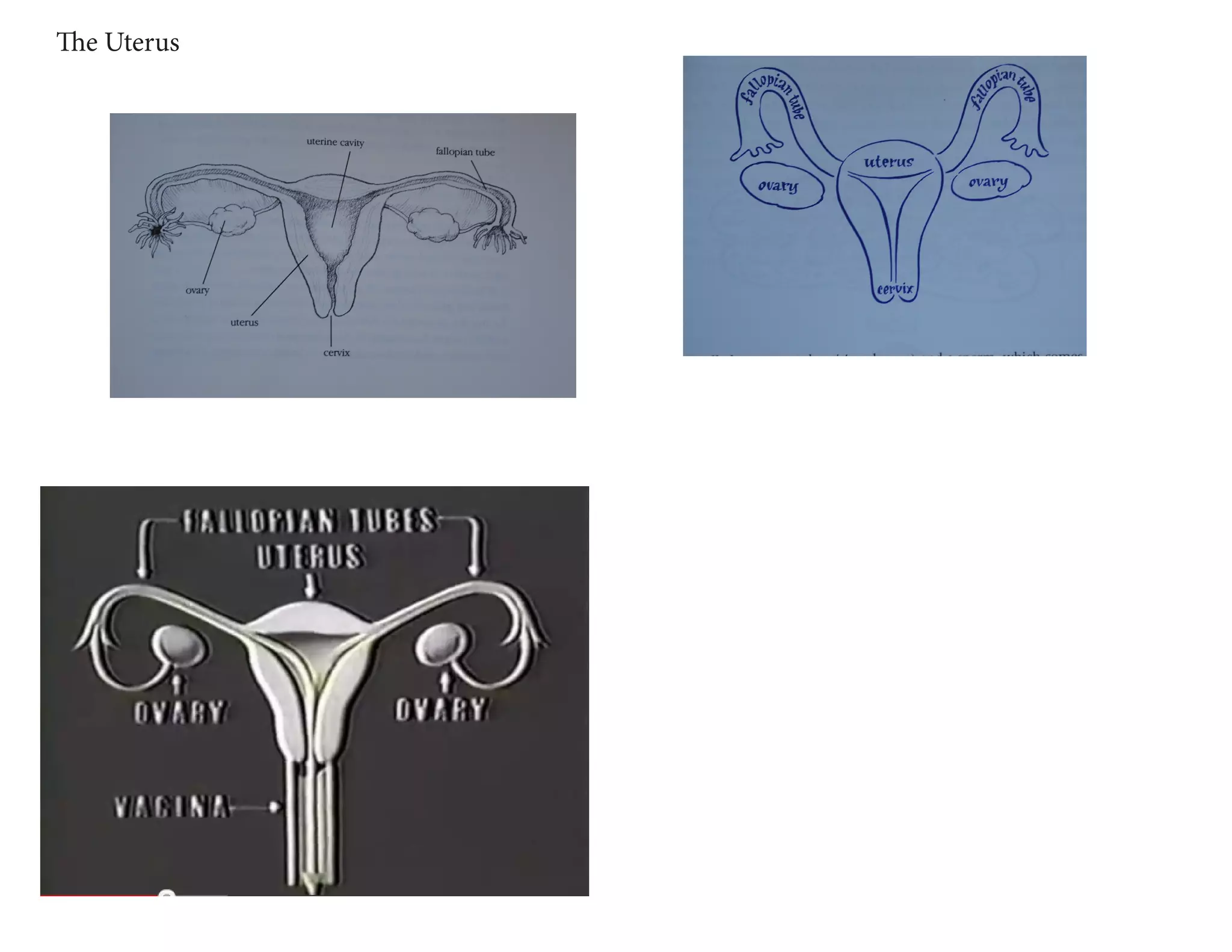 Graphic representation comparison safe | PDF