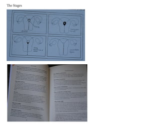 Graphic representation comparison safe | PDF