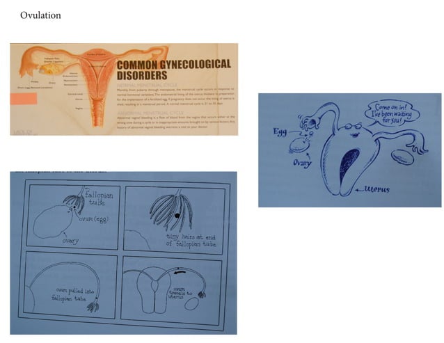 Graphic representation comparison safe | PDF
