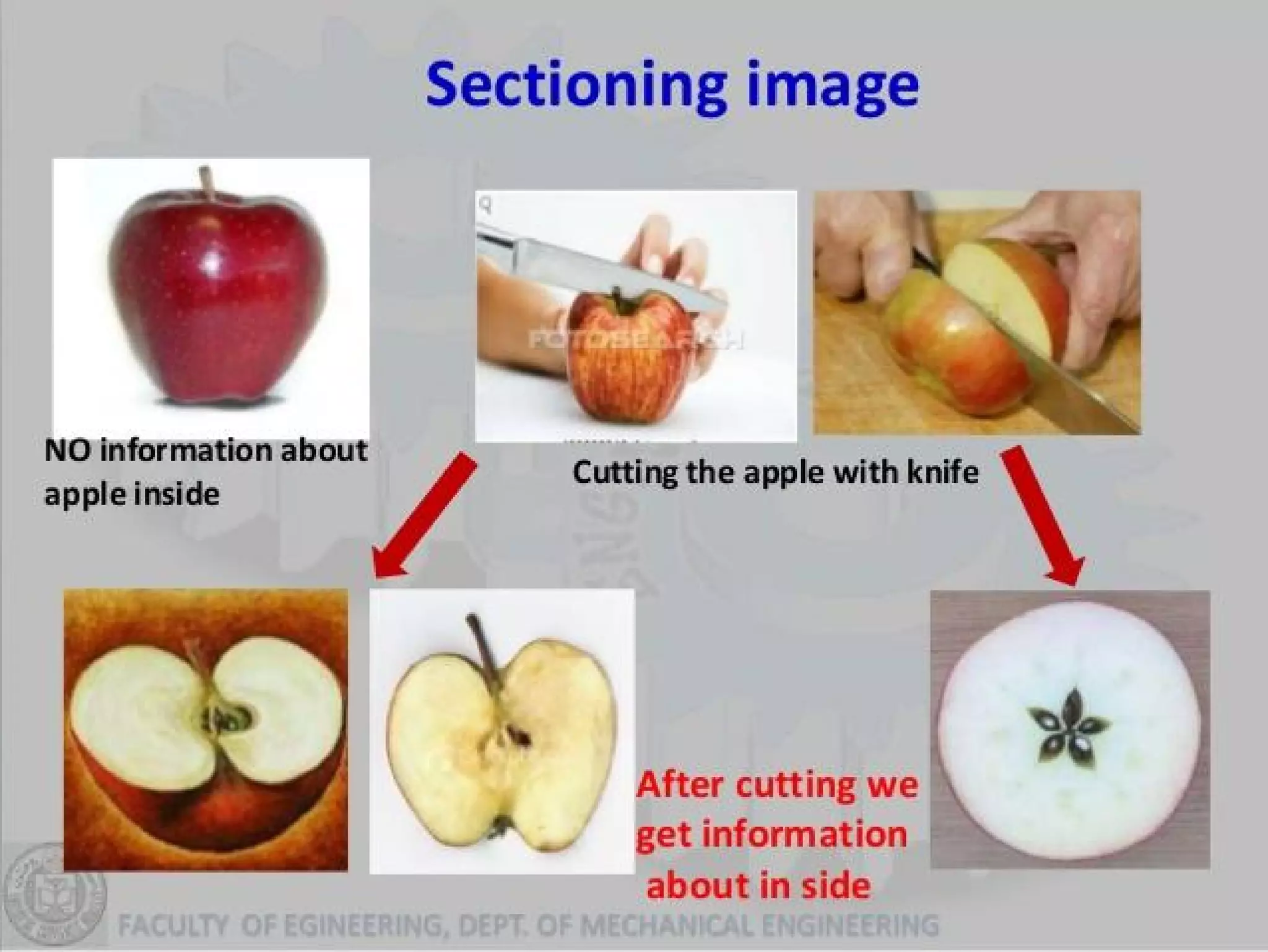 Graphics lecture-section-view | PPT