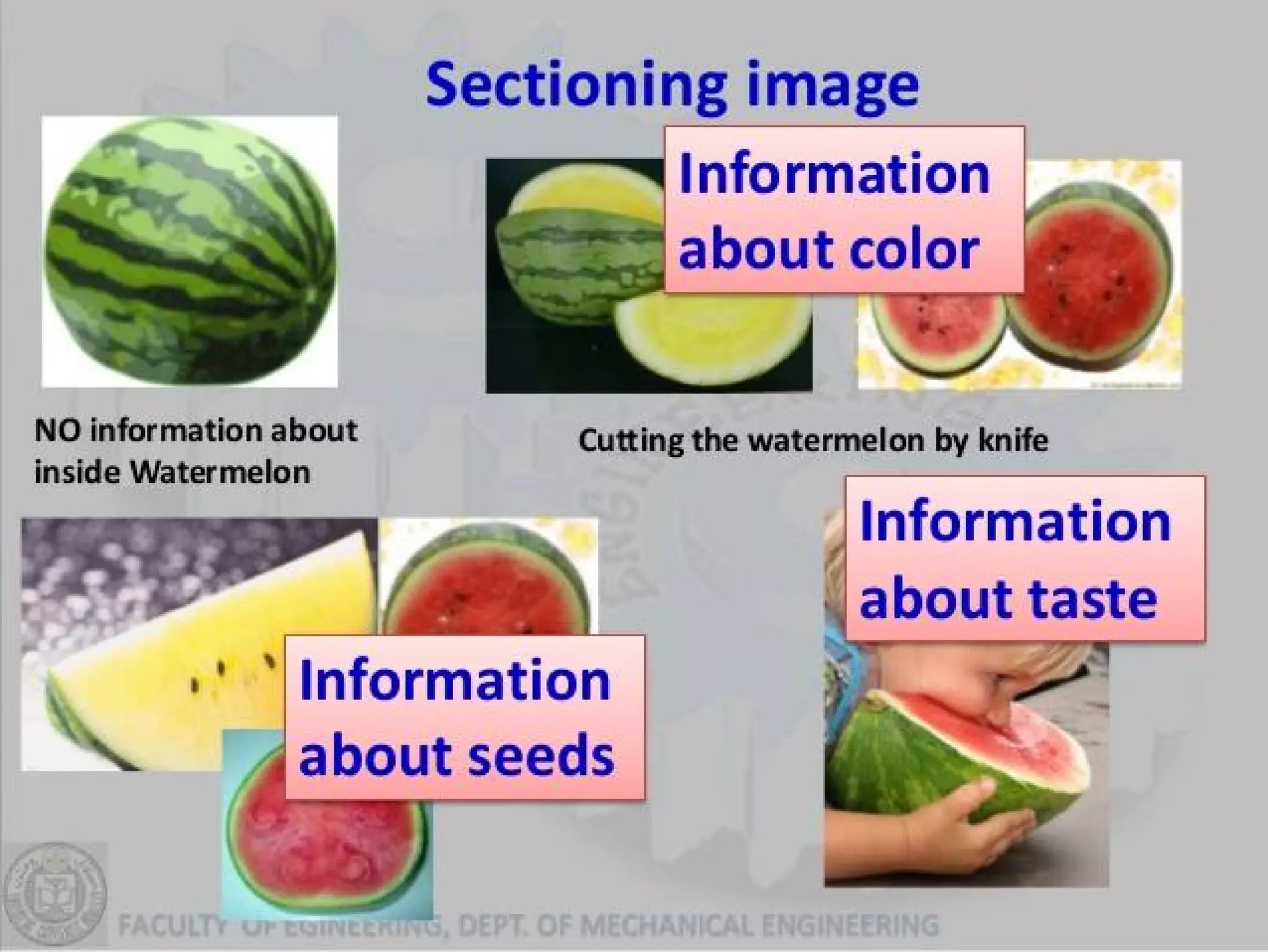 Graphics lecture-section-view | PPT