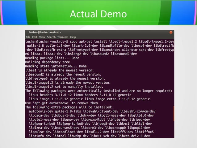 Graphics Programming in C under GNU Linux (Ubuntu distribution) | PDF