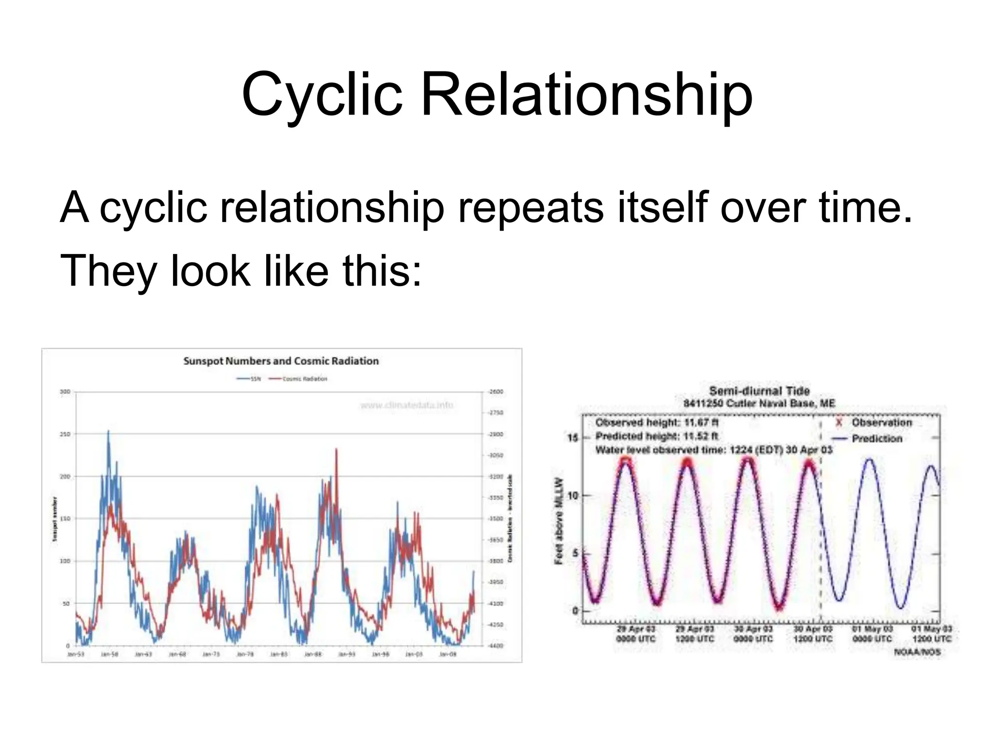Graphing and Charting Relationships data management | PPT