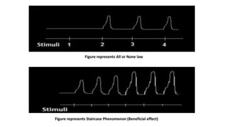 Amphibian Graphs and charts.pptx