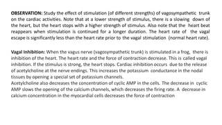 Amphibian Graphs and charts.pptx