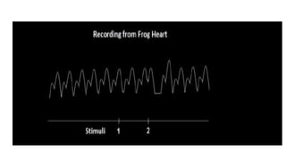 Amphibian Graphs and charts.pptx