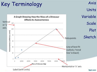 Graphs and numeracy presentation | PPT