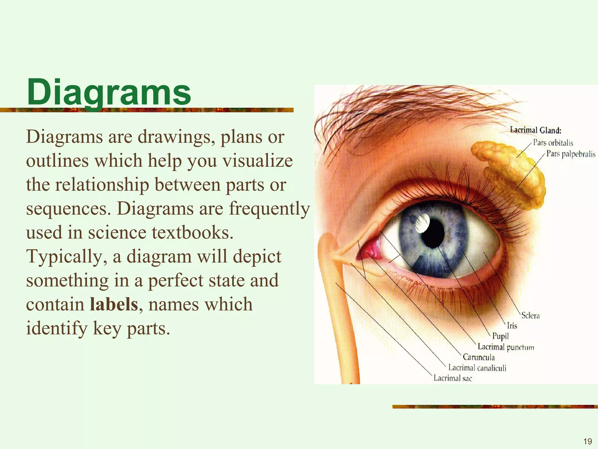 Graphs and visual aids 11 | PPT | Graphics Software | Computer Software ...