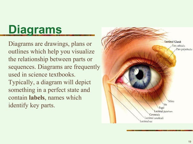 Graphs and visual aids 11 | PPT | Graphics Software | Computer Software ...