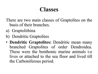 Graptolites | PPT