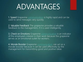 Grapvine communication | PPTX