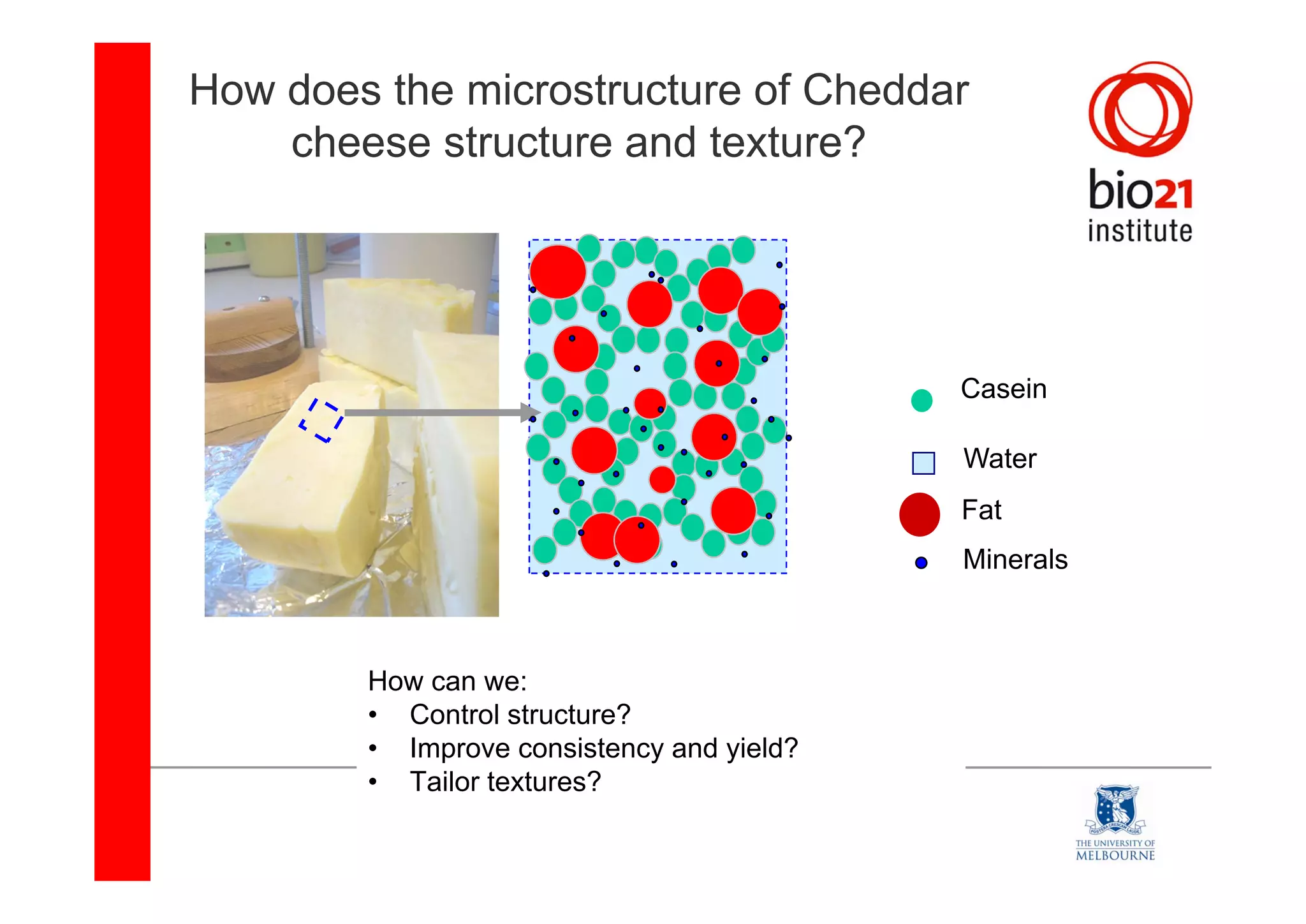 The Microstructure of Australian Cheddar Cheese and other Dairy ...