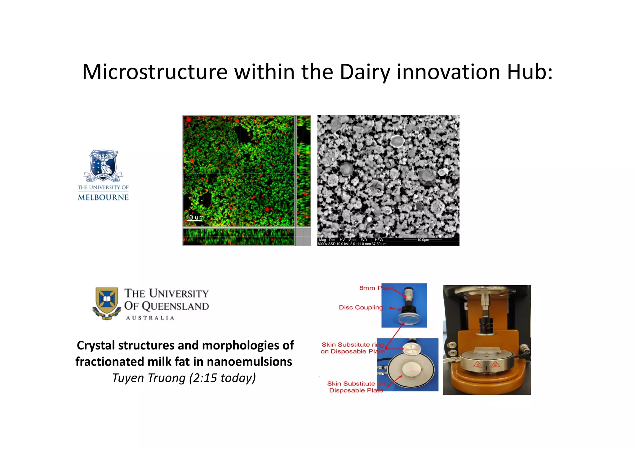 The Microstructure of Australian Cheddar Cheese and other Dairy ...
