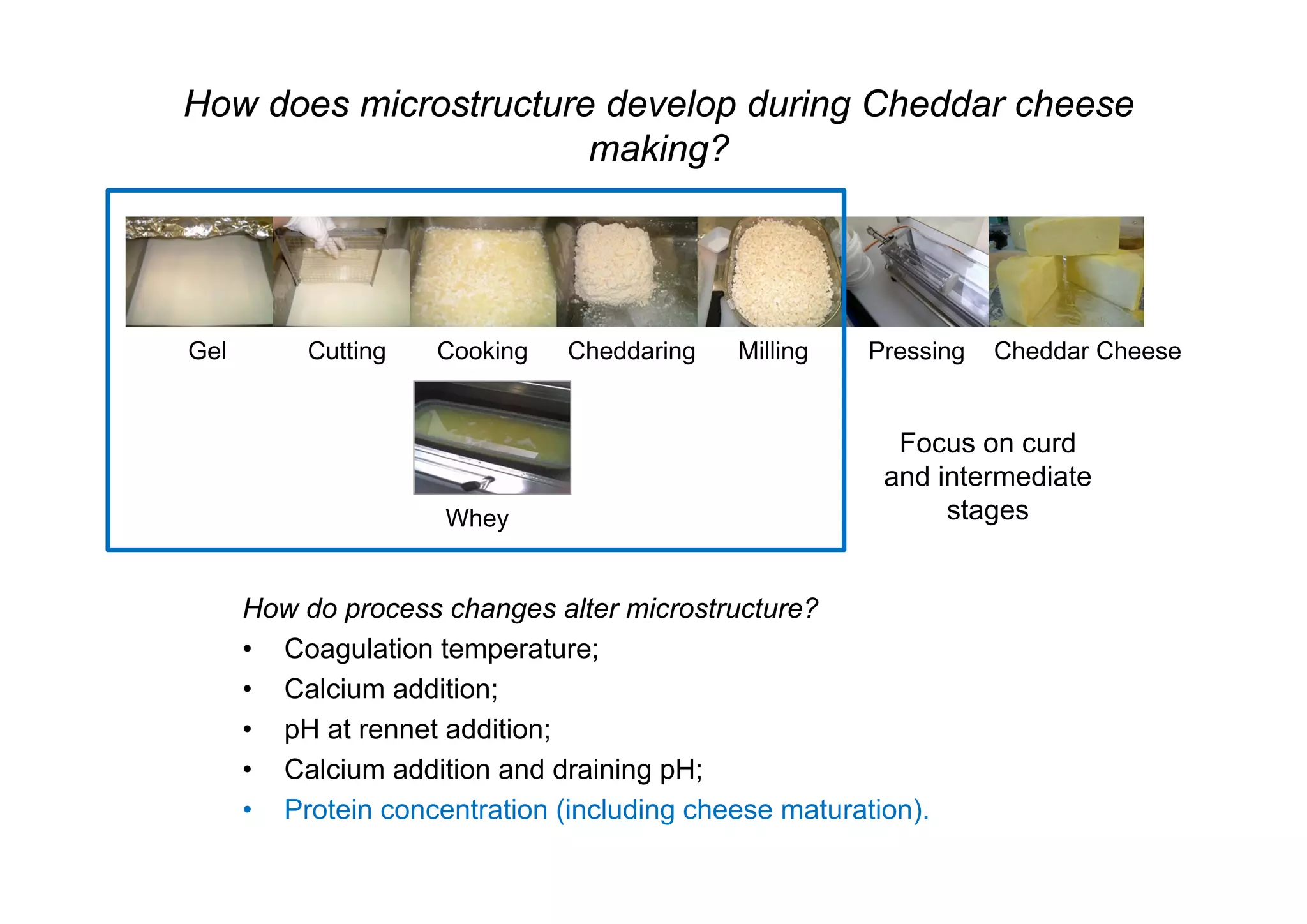 The Microstructure of Australian Cheddar Cheese and other Dairy ...